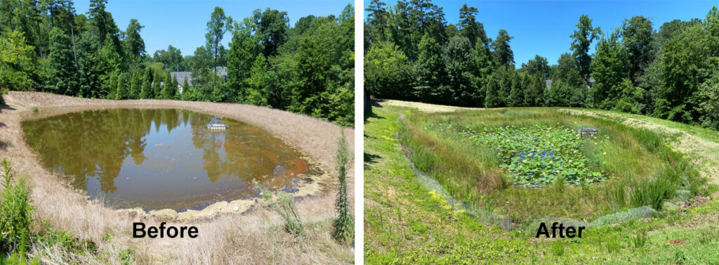 Littoral Shelf Plantings and Sloped Bank Aquatic Plantings