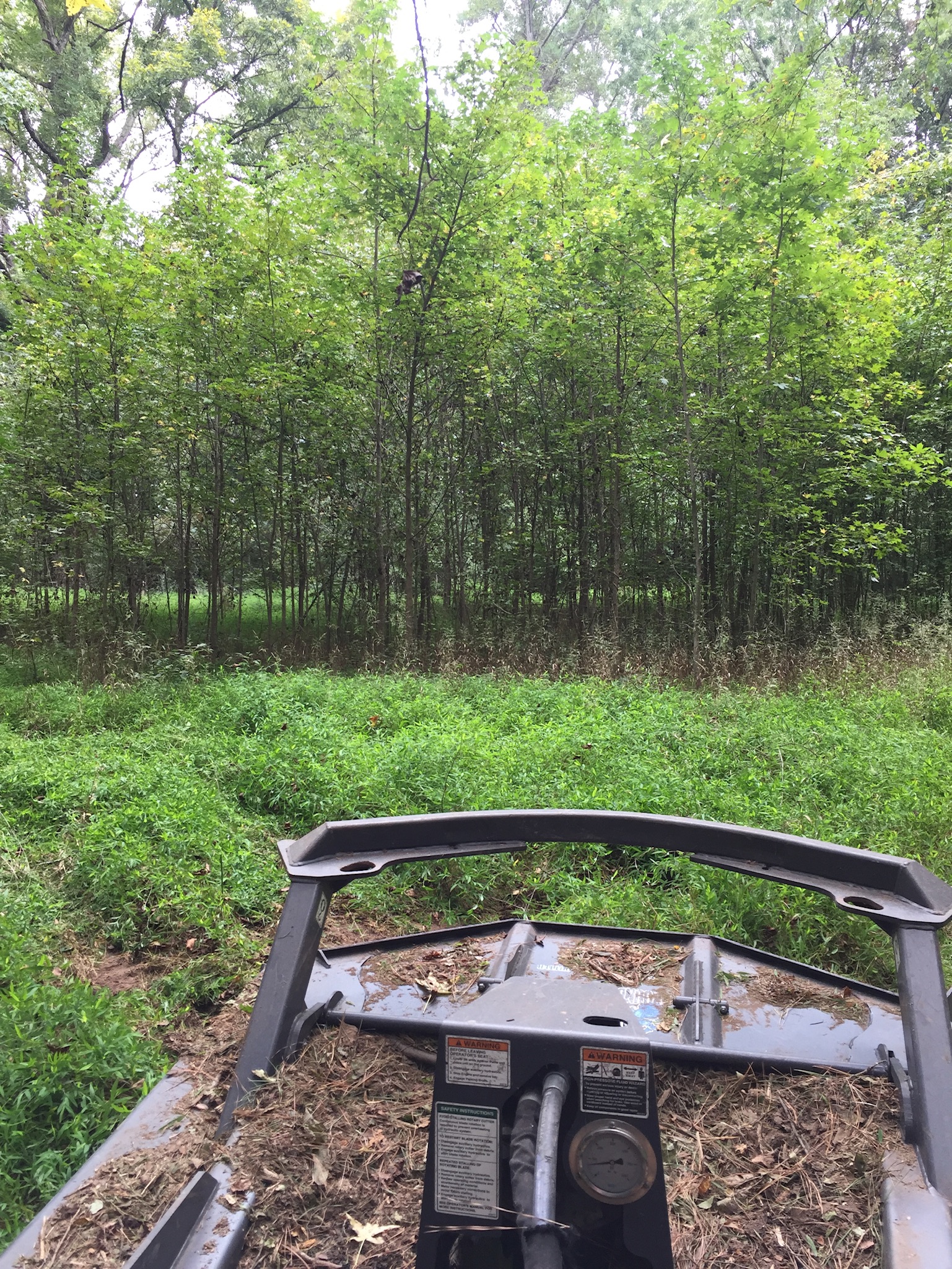 Forestry Mulching NC - Triangle Pond Management