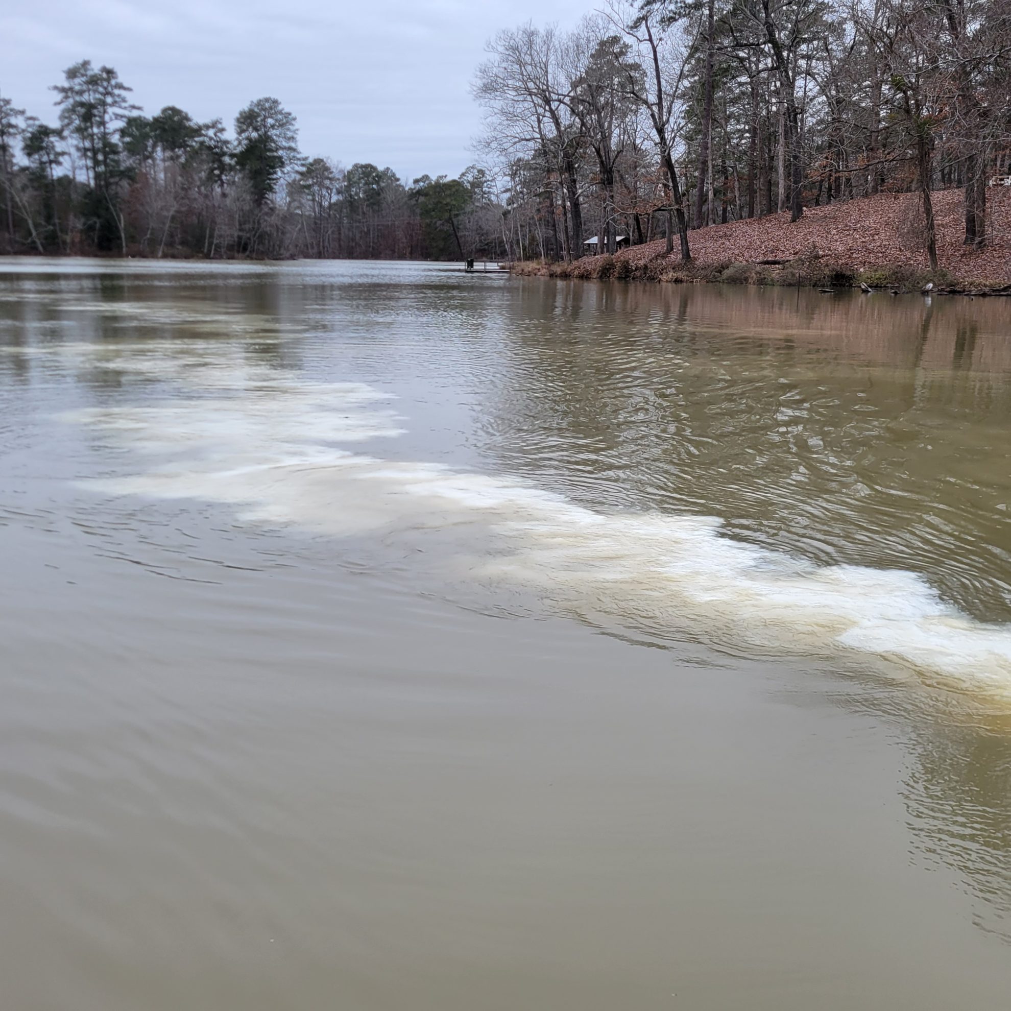 News/Info/Projects - Triangle Pond Management
