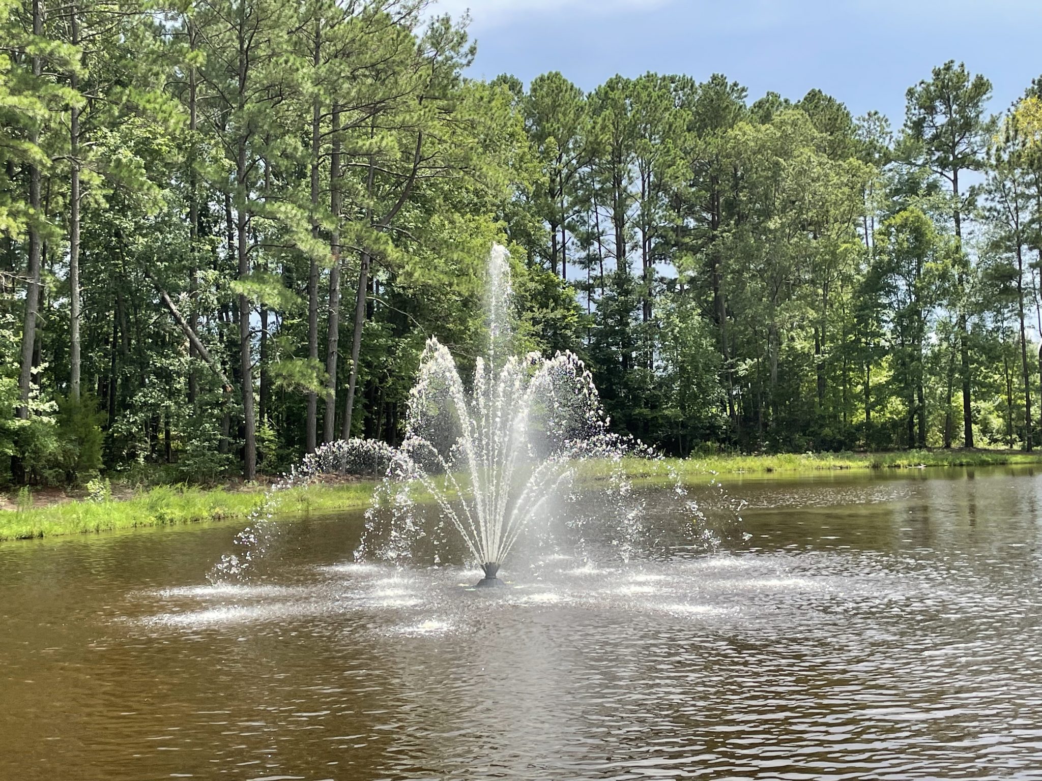 Comprehensive Pond Analysis and Fountain Installation