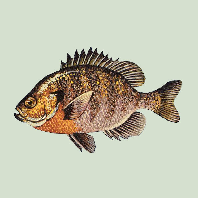 Why Energy Dissipaters Matter in Stormwater Management