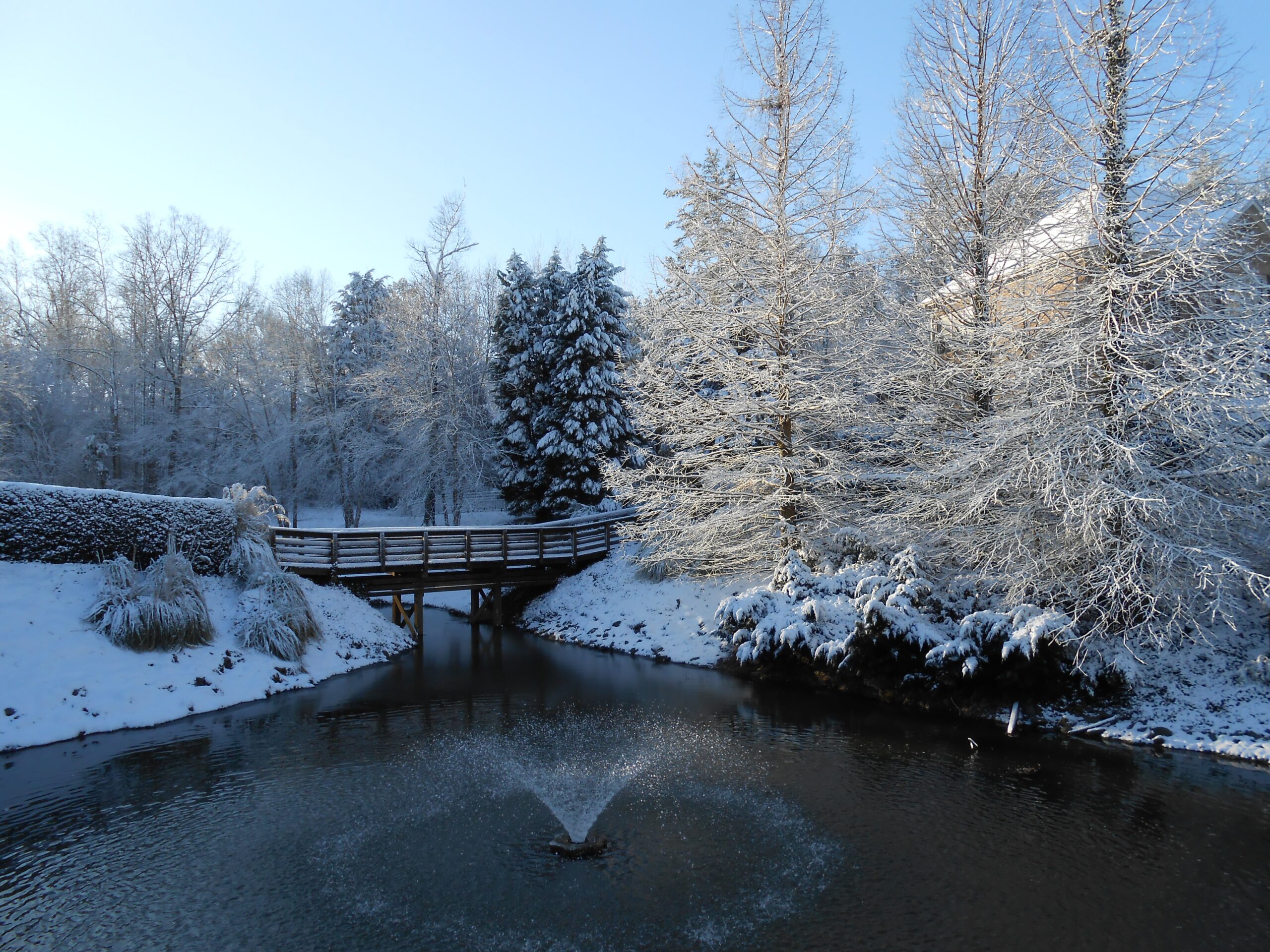 Winter Water Feature Maintenance: Keeping Your Oasis Pristine