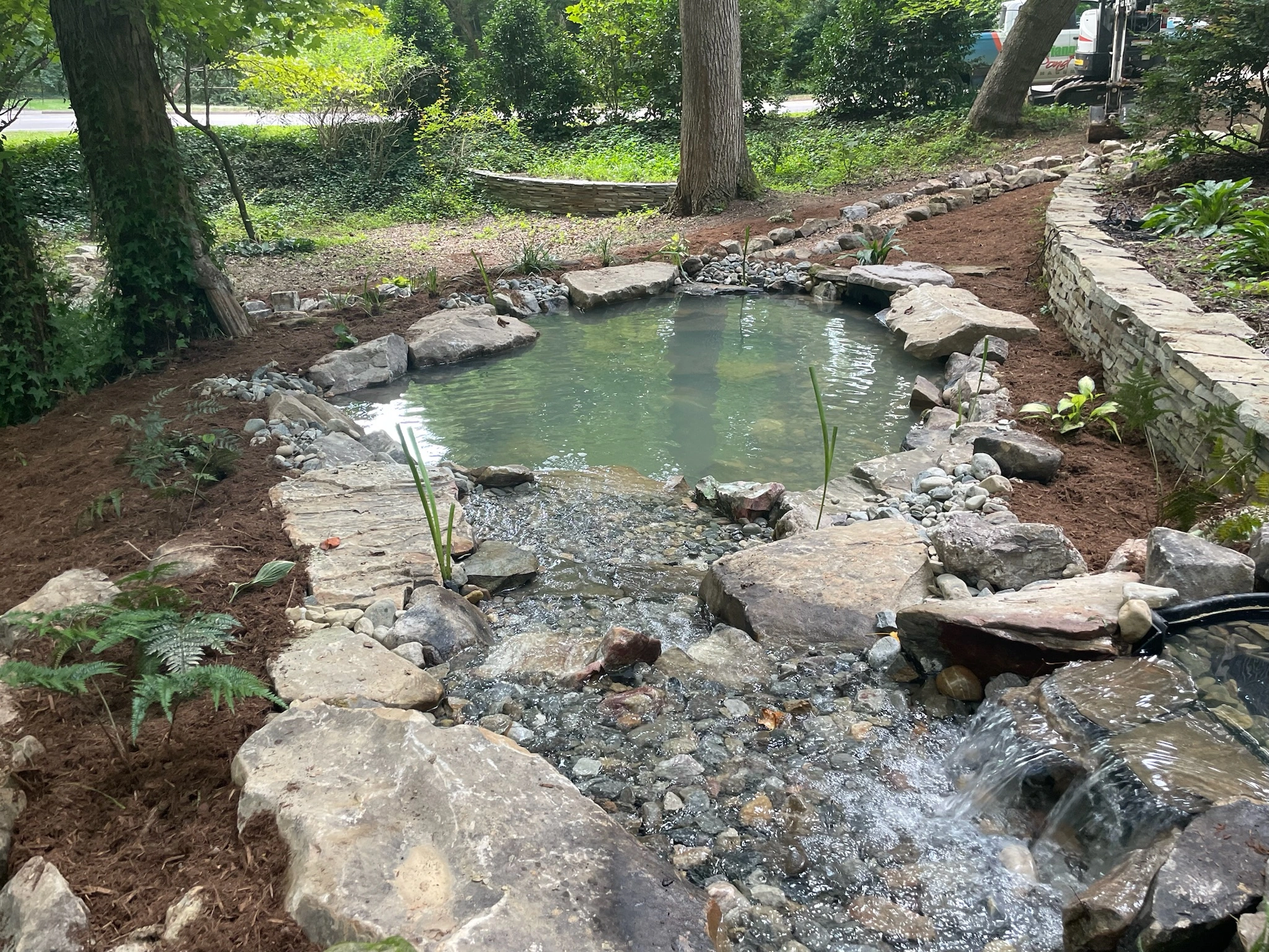 Transforming Unused Space into a Tranquil Backyard Pond