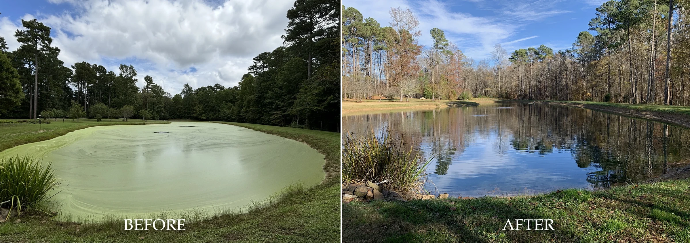 Pond Vegetation Control - Triangle Pond Management