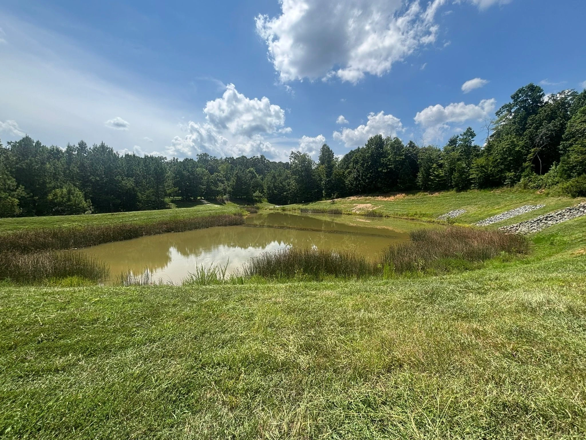 Gallery - Triangle Pond Management